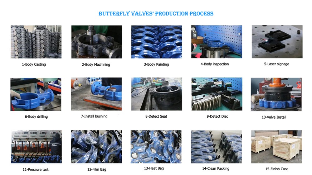 DEMCO Butterfly Valve with extension stem