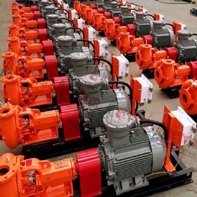 Horizontal Centrifugal Pump Skid Ex-Motor w/Control Panel